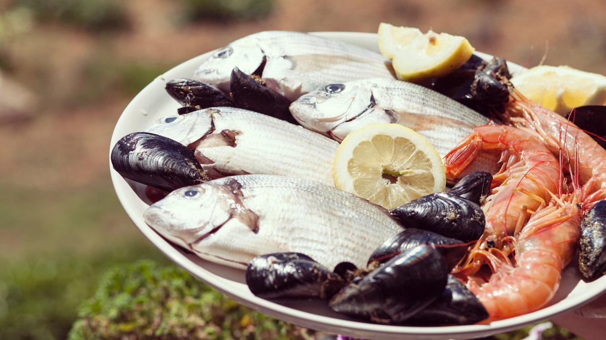Macam-Macam Alasan Seafood Baik untuk Kesehatan