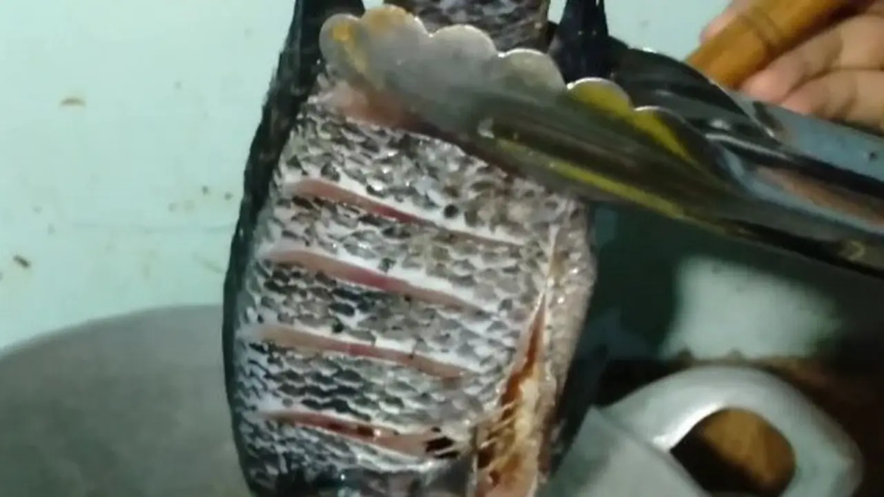 Goreng Ikan Jadi Lebih Aman! Begini Trik agar Tidak Meletus dan Lengket ...