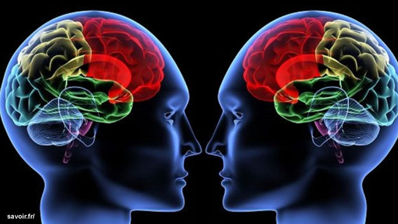 Tumor Otak, yang Bisa Mengancam Jiwa