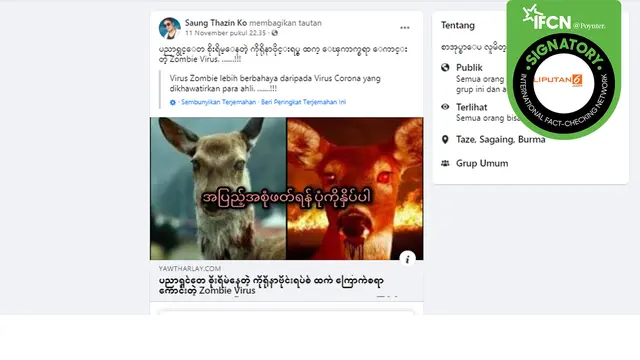 Cek Fakta: Benarkah Virus Rusa Zombie Lebih Berbahaya dari Covid-19 ...