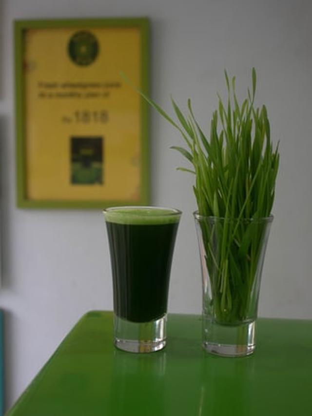 Mengenal Manfaat Air Klorofil yang sedang Populer untuk Kesehatan ...