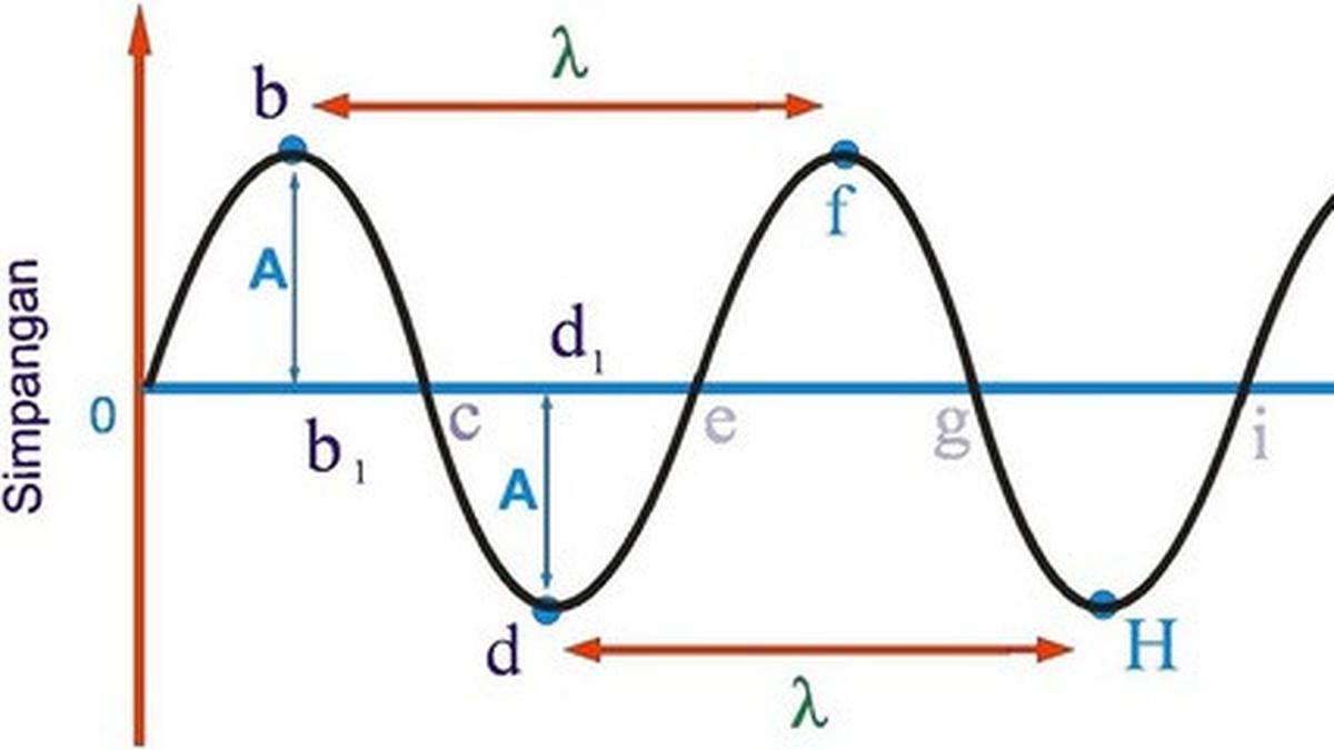 Amplitudo Adalah Jarak Terjauh dalam Gelombang, Pahami Definisi dan ...