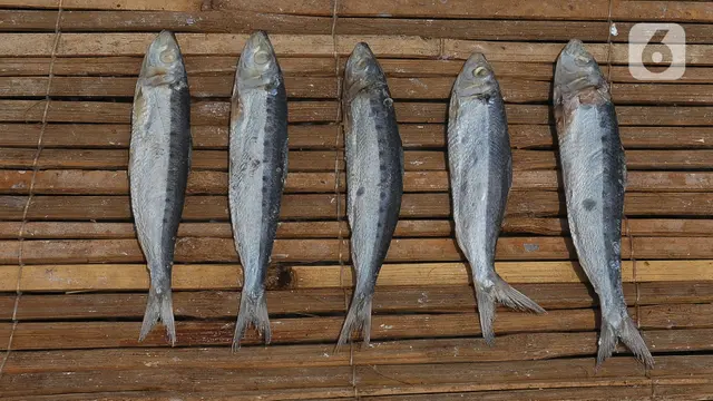 Cara Mengurangi Garam Berlebih pada Ikan Asin, Mudah Dilakukan di Rumah ...