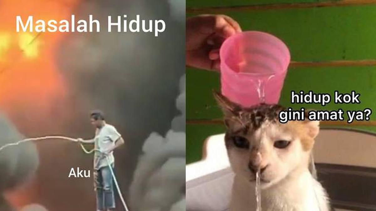 7 Meme Kocak Kecewa dengan Keadaan, Bikin Sedih dengan Realita Hidup ...
