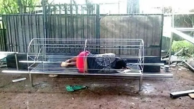 6 Tingkah Absurd Orang Rebahan di Tempat Tak Terduga, Netizen: Kok Bisa ...