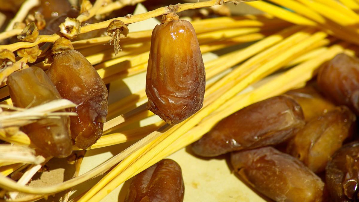 9 Manfaat Air Rendaman Kurma yang Jarang Diketahui - Hot Liputan6.com