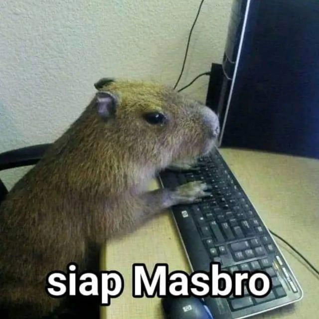 7 Meme Kocak Hewan Kapibara yang Dijuluki Mas Bro oleh Netizen Ini Imut
