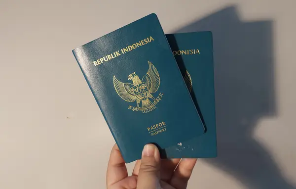 Apa Itu Deforestasi: Pengertian, Penyebab, dan Dampaknya - Feeds Liputan6.com