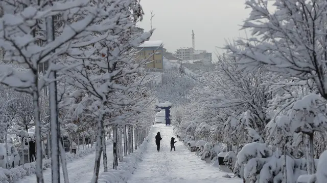 7 Negara Bersalju Tanpa Visa untuk Paspor Indonesia, Pulau Jeju di Korea Selatan Salah Satunya ...