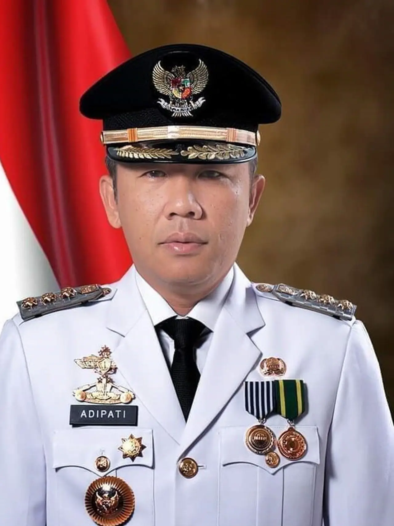 Profil Raden Adipati Surya, Bupati Way Kanan yang Diperiksa Terkait ...