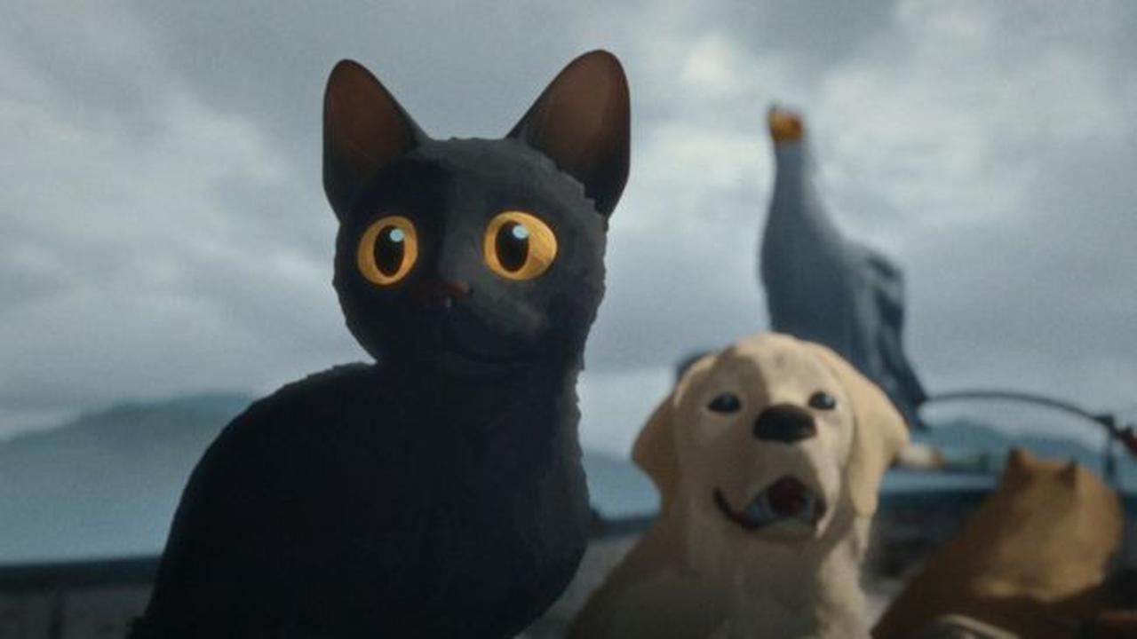 Fakta-Fakta Menarik Film FLOW Raih Best Animated Feature d Piala Oscar ...