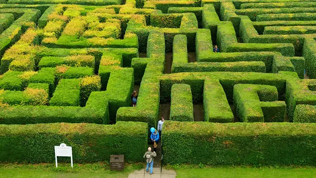 Berani Coba Bertualang dan Tersesat di Labirin Terluas Sedunia ...