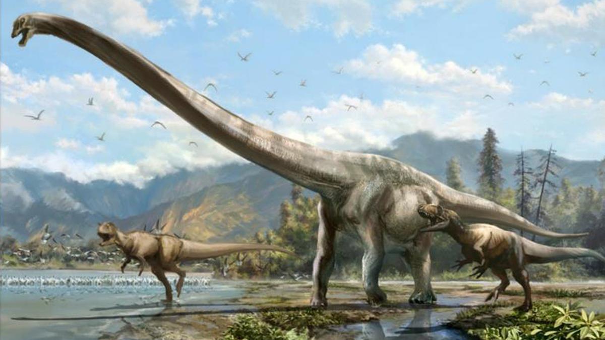 Fosil 'Naga Tiongkok' Ditemukan, Spesies Baru Dinosaurus - Global ...
