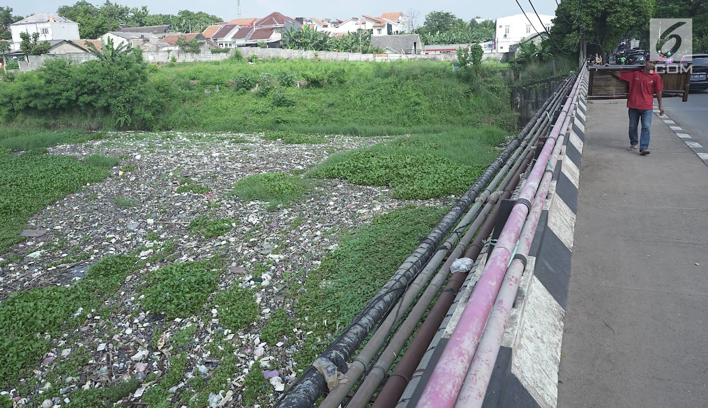 FOTO: Memprihatinkan, Sampah dan Eceng Gondok Penuhi Setu Pengarengan ...