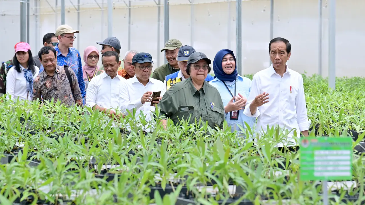 Resmikan Persemaian Mentawir Berkapasitas 15 Juta Bibit, Jokowi: Untuk ...