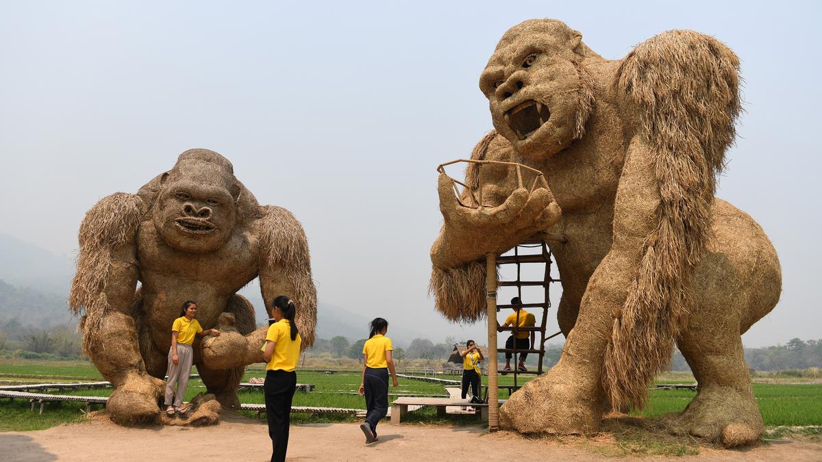 FOTO: Unik, Patung King Kong Raksasa Ini Terbuat dari Jerami Lho - Foto ...