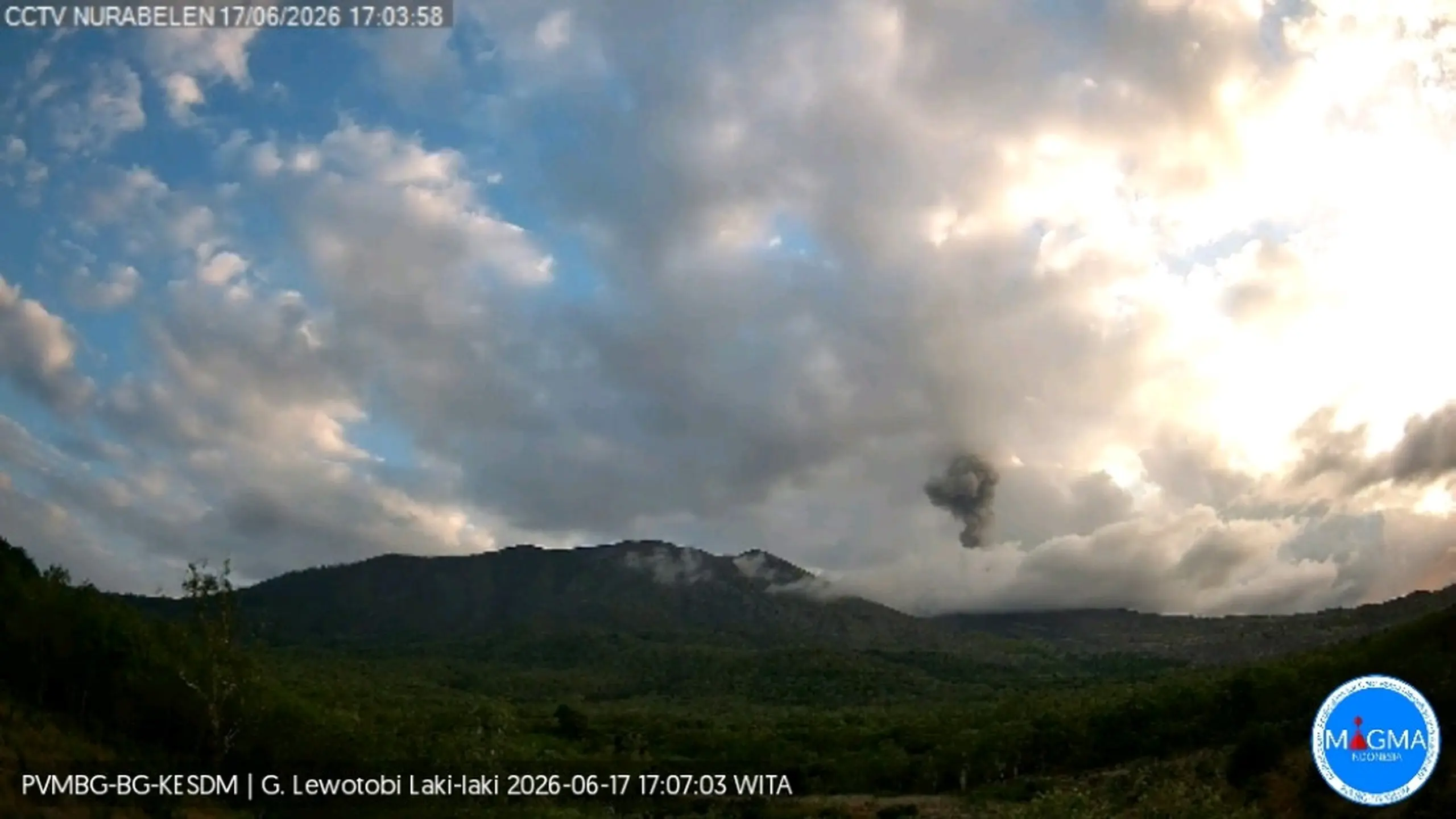 Gunung Lewotobi Laki-Laki Erupsi 1.500 Meter, Jaga Jarak Aman