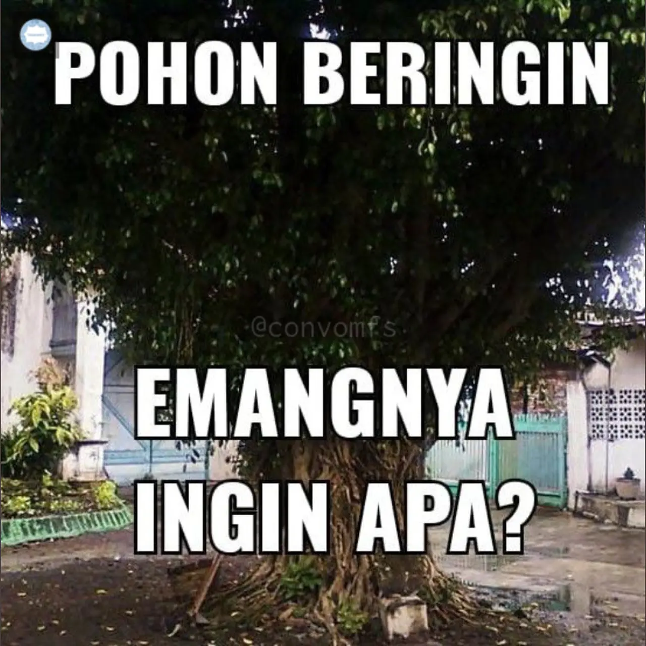 6 Meme Pertanyaan Lucu dari Kata Familiar Ini Bikin Bertanya-Tanya ...