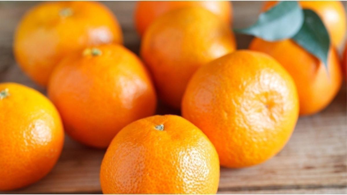 5 Makanan Berwarna Orange Yang Efektif Turunkan Berat Badan
