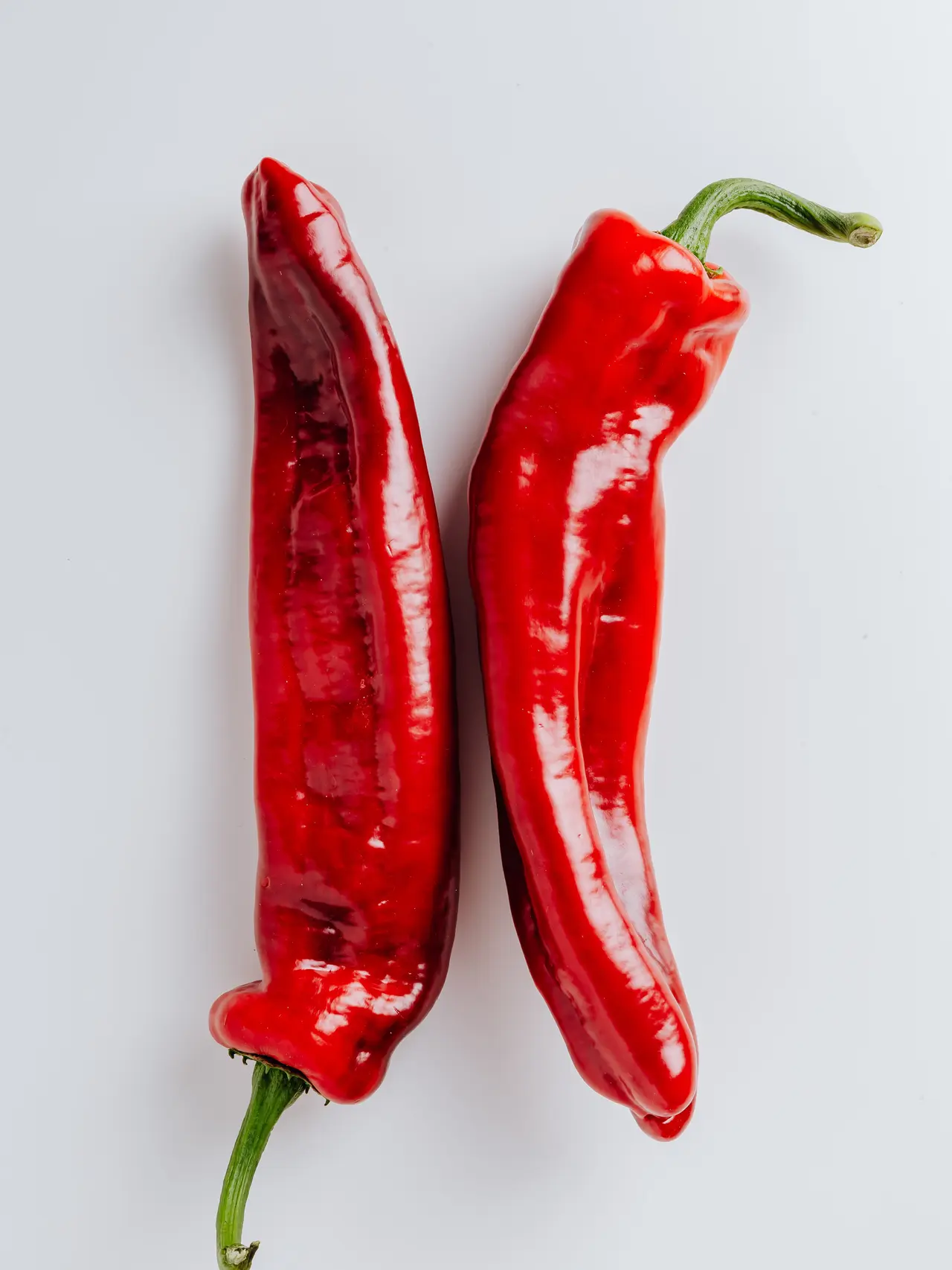 Cara Menanam Cabe dari Biji dan Hasil Melimpah, Pahami Teknik Budidaya ...