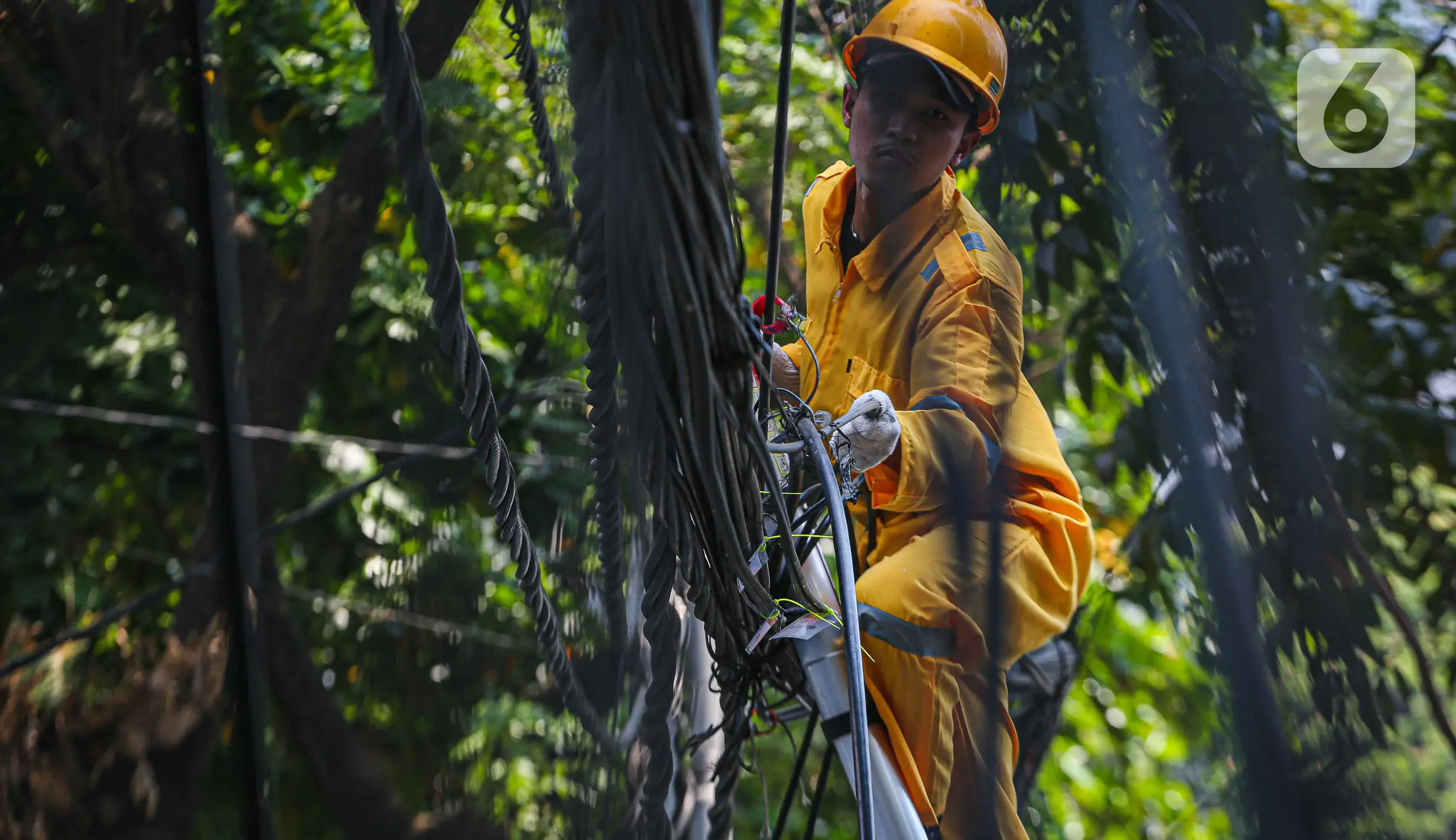 Dinas Bina Marga Tertibkan Kabel Fiber Optik di Senopati - Foto Liputan6.com