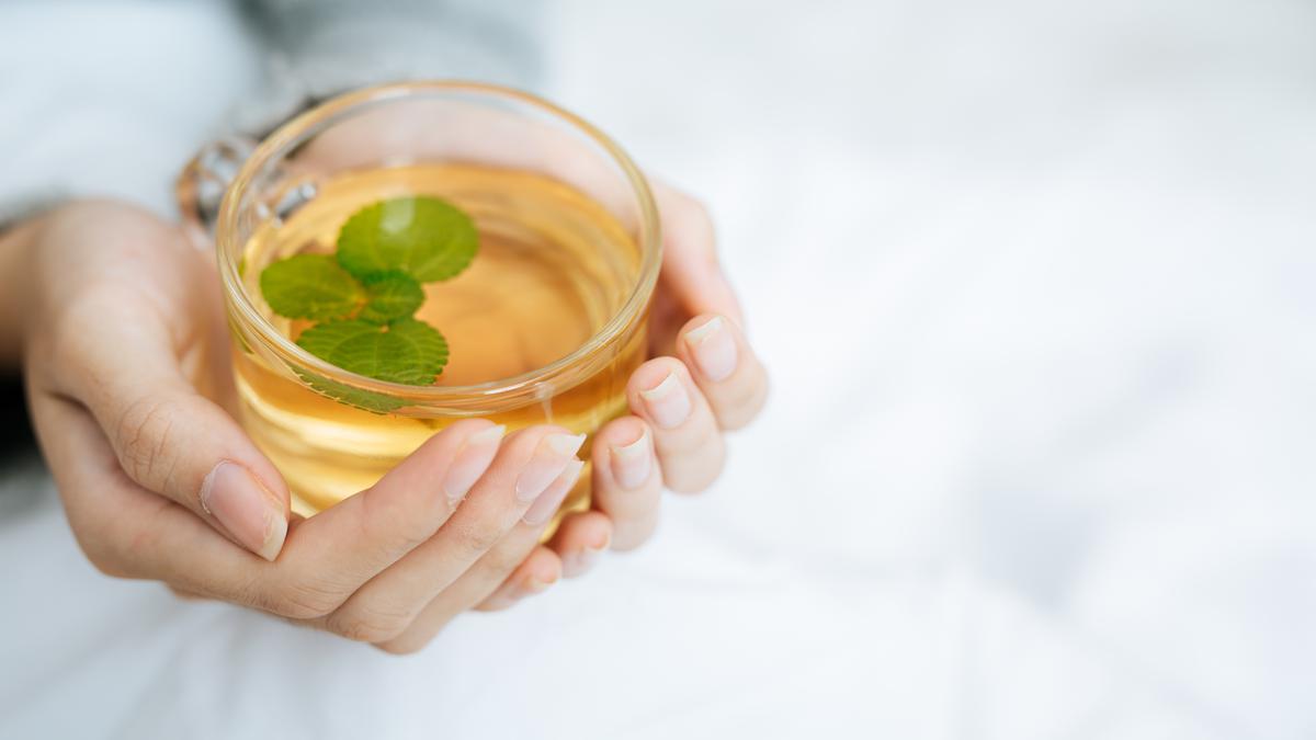 Resep Teh Daun Mint untuk Mengatasi Bau Mulut - FimelaHood Fimela.com