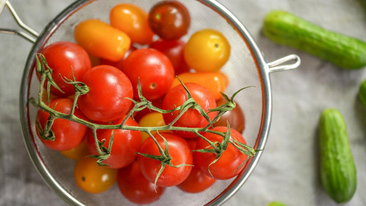 Sehat dan Lezat, Ini 5 Olahan Makanan yang Terbuat dari Tomat ...