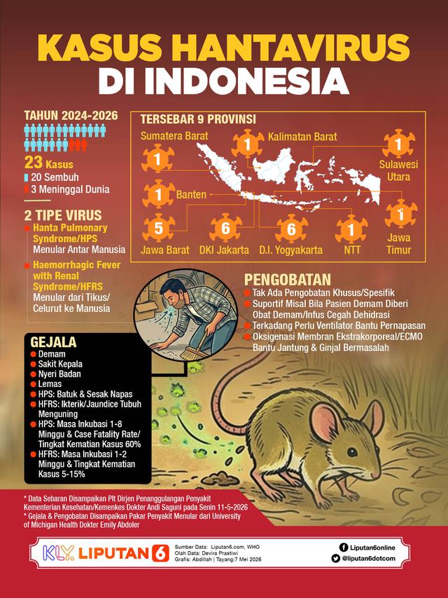 Infografis Kasus Hantavirus di Indonesia