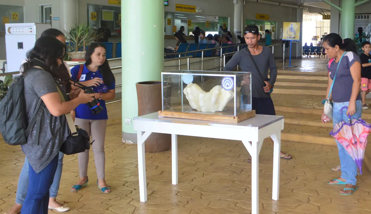 Mutiara Raksasa Senilai Rp 1,3 Triliun Ditemukan di Filipina