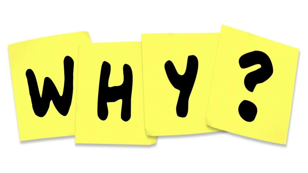 Arti Why dalam Bahasa Inggris, Ketahui Contoh Penggunaannya - Hot ...