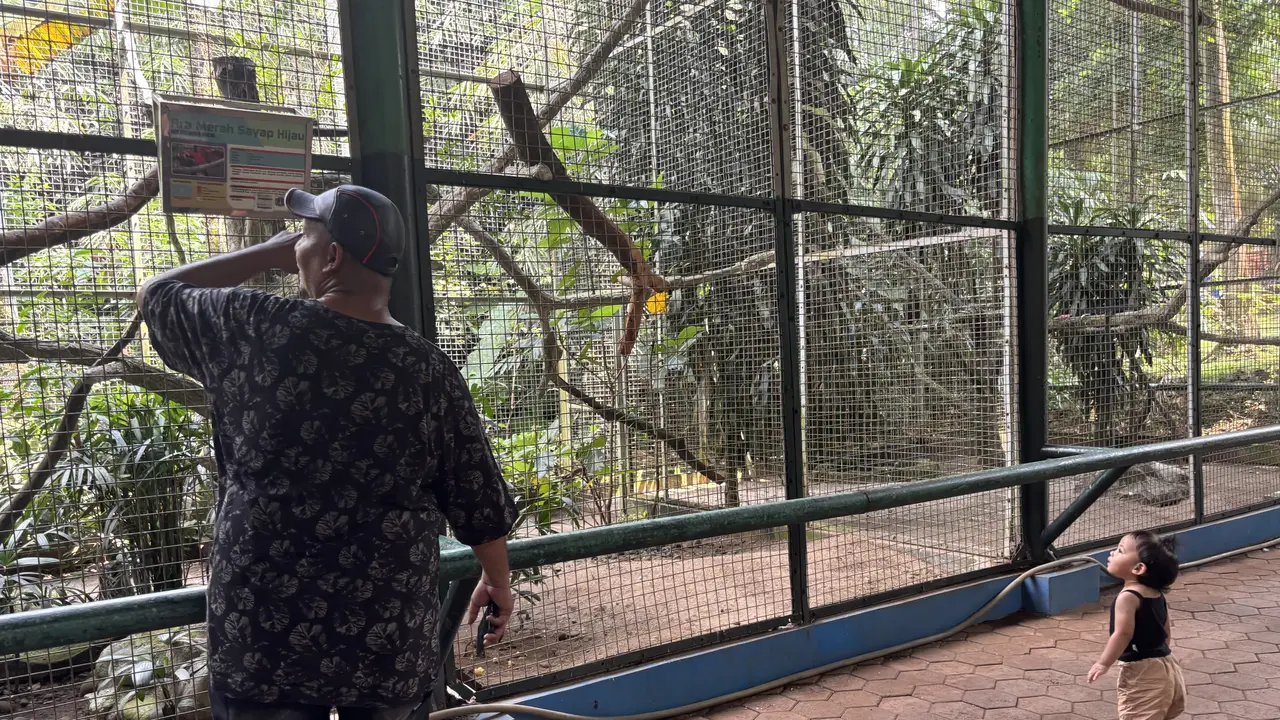 Pengunjung Padati Ragunan saat HUT RI ke-80, Fasilitas Baru Bikin Betah