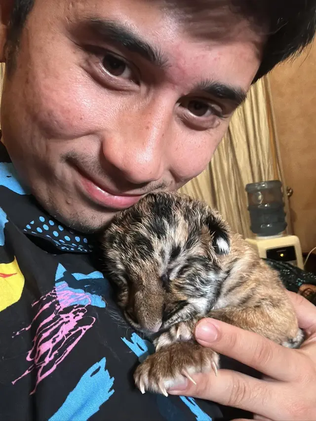 5 Fakta Anak Harimau Milik Alshad Ahmad Mati Lagi, Dikritik Netizen