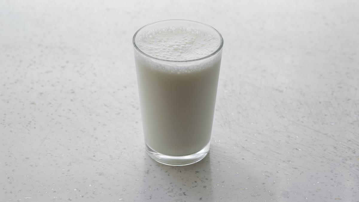 5 Efek Buruk Mengonsumsi Susu secara Berlebihan, Perhatikan Dampaknya ...