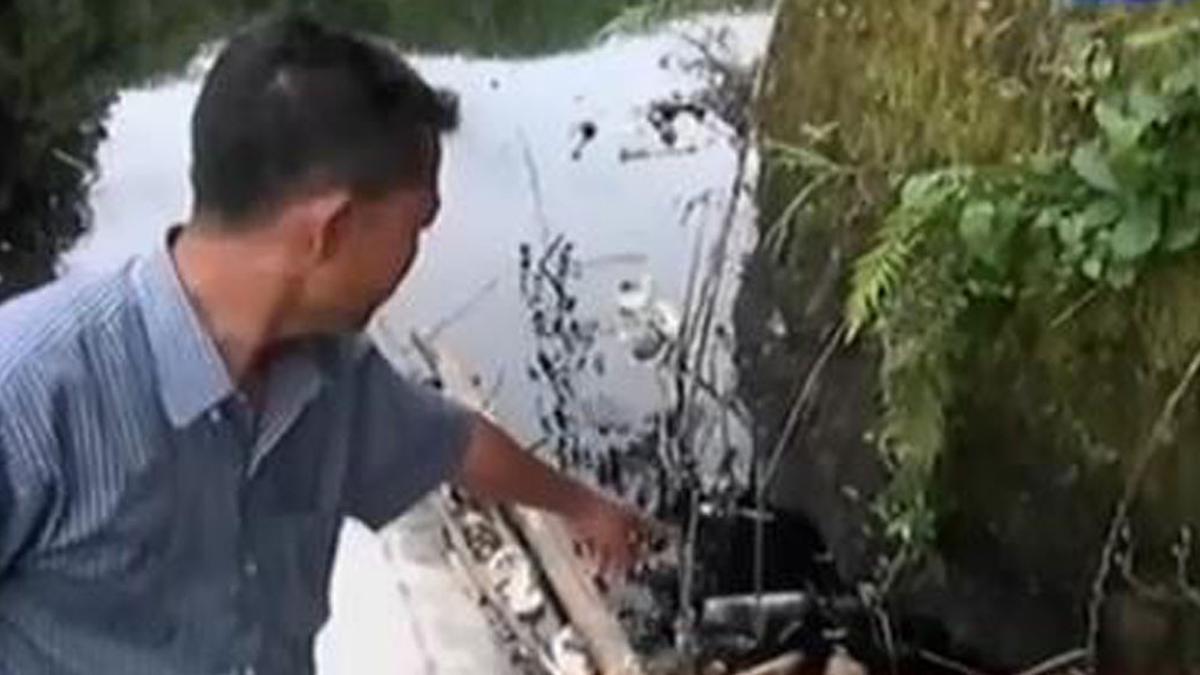 Segmen 7: Sungai Bandung Tercemar hingga Tumbuhnya Bunga Bangkai - TV ...