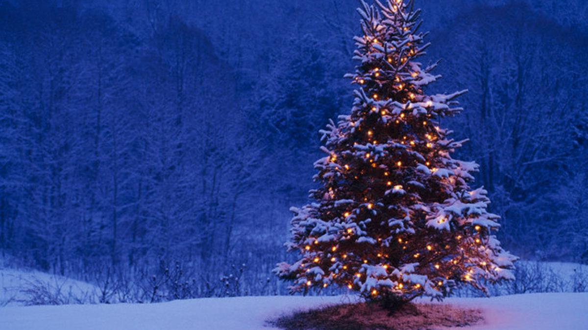 Deretan Keindahan Jelang Natal di Berbagai Belahan Dunia