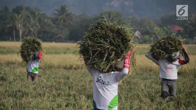 BPS: Jumlah Petani Gurem di Indonesia Naik Jadi 16,89 Juta di 2023