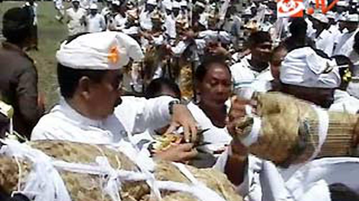 Ngaben Tikus, Tradisi Unik di Bali