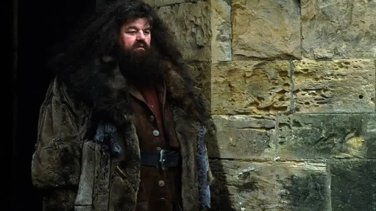 Robbie Coltrane Pemeran Hagrid di Film Harry Potter Meninggal Dunia di ...