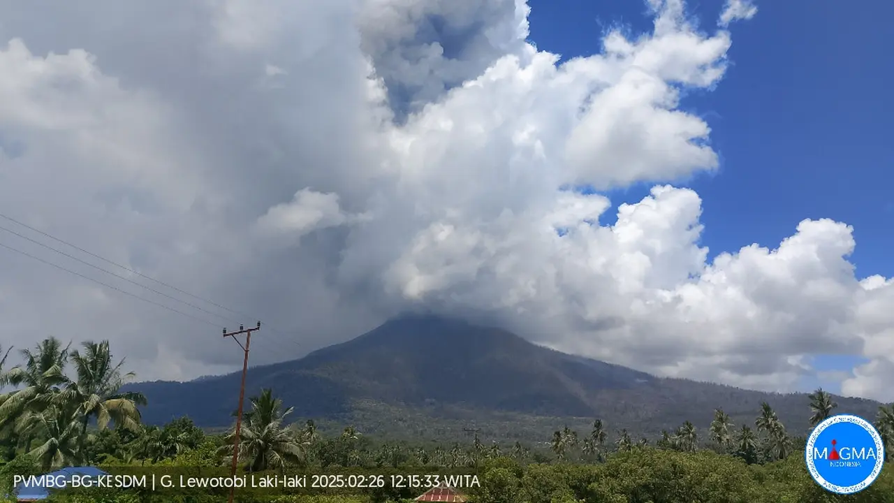 Gunung Lewotobi Laki-Laki Erupsi Lagi, Semburkan Abu Vulkanik 2.500 Meter - Regional Liputan6.com