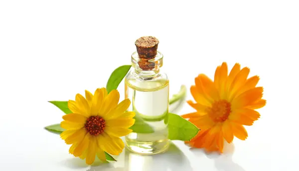 6 Potret Terbaru Aiu Ratna Vokalis Garasi yang Awet Muda, Punya Anak ...