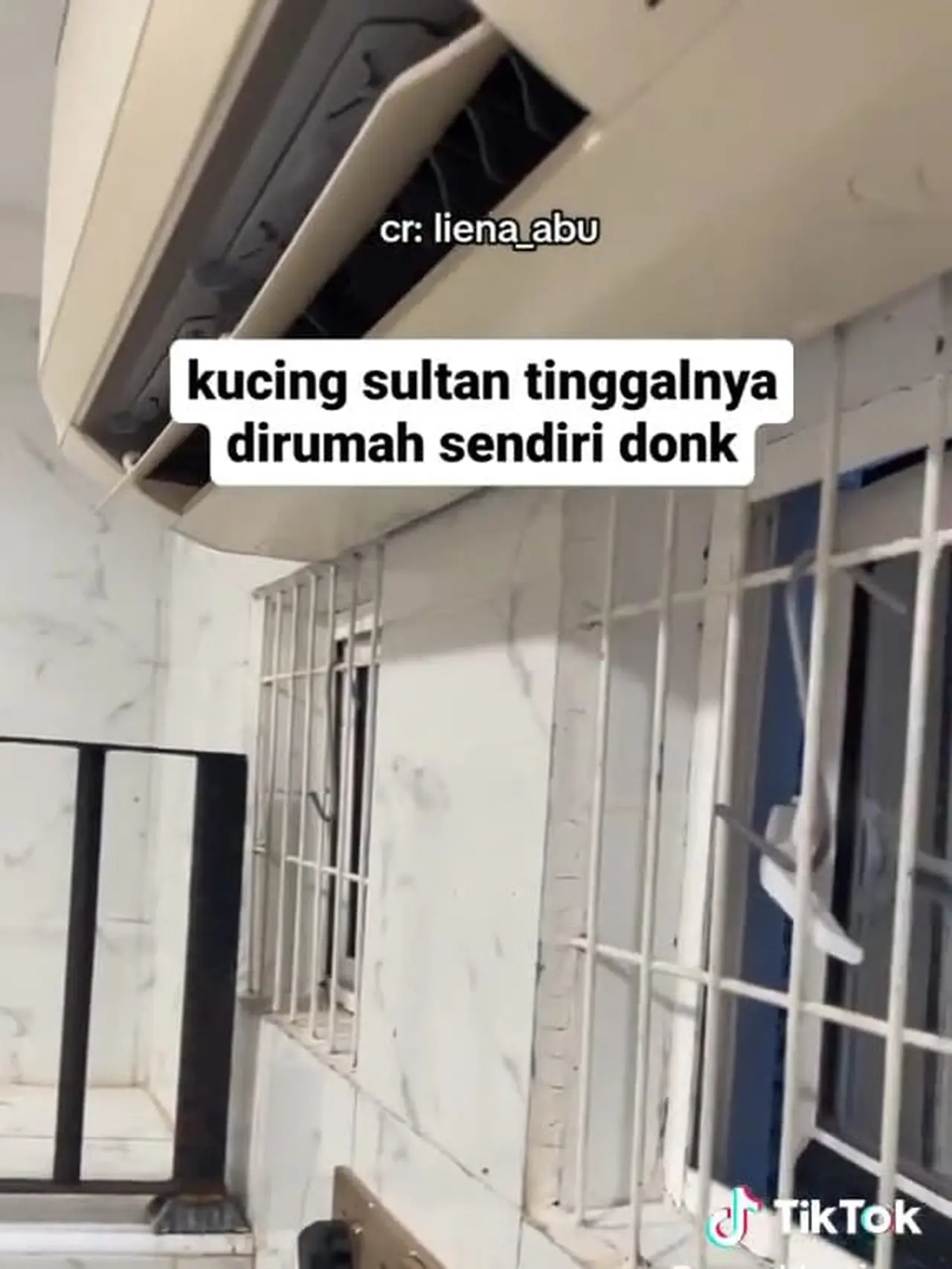 7 Potret Rumah Kucing Bak Istana Sultan Ini Bikin Iri, Mewah Ada CCTV ...