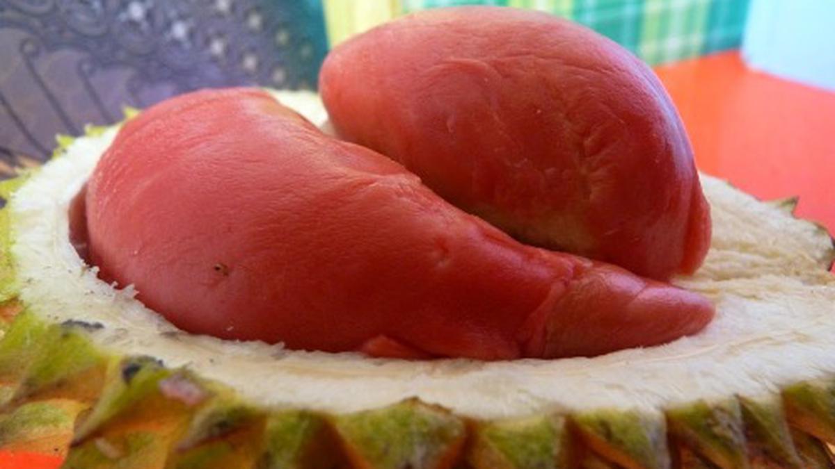Durian Merah Resmi Jadi Milik Banyuwangi - Lifestyle Liputan6.com