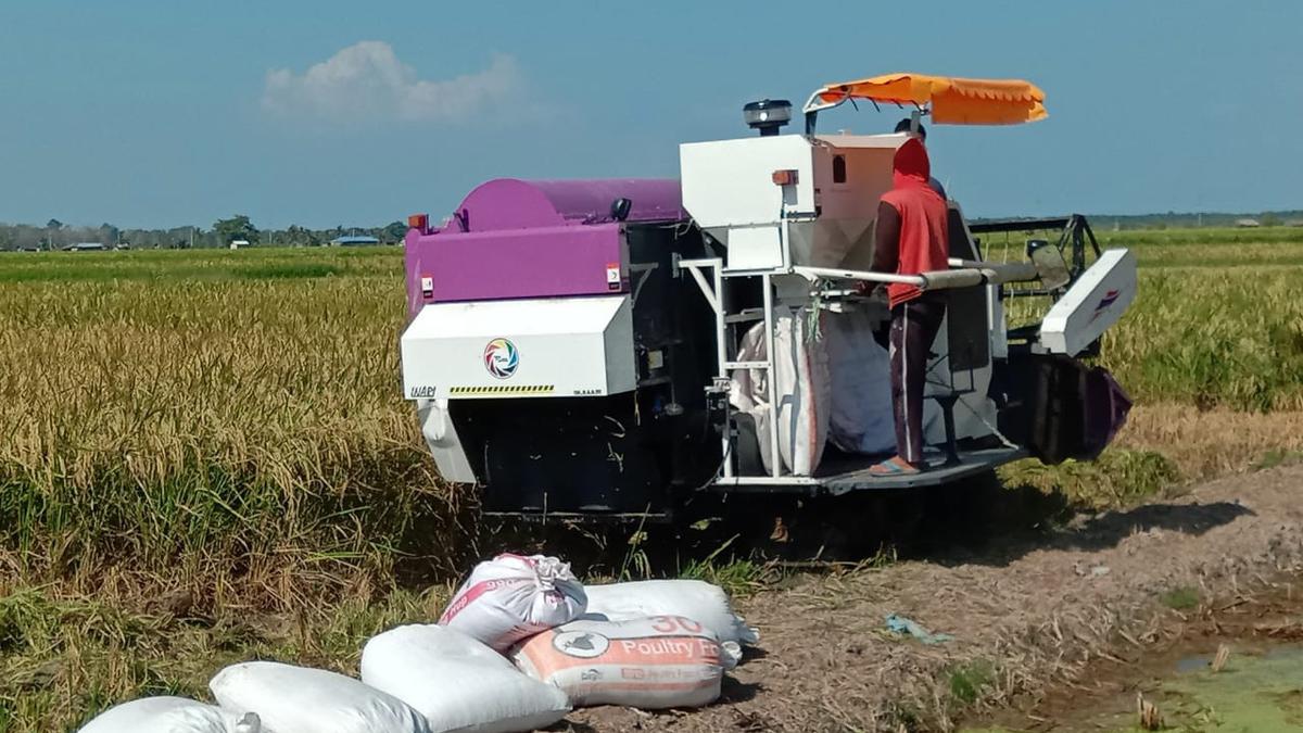 Berkat Bantuan Kementan, UPJA Karya Bersama Demak Sukses Kelola Mesin ...