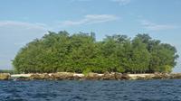 Berita Pulau Bulat Hari Ini - Kabar Terbaru Terkini | Liputan6.com