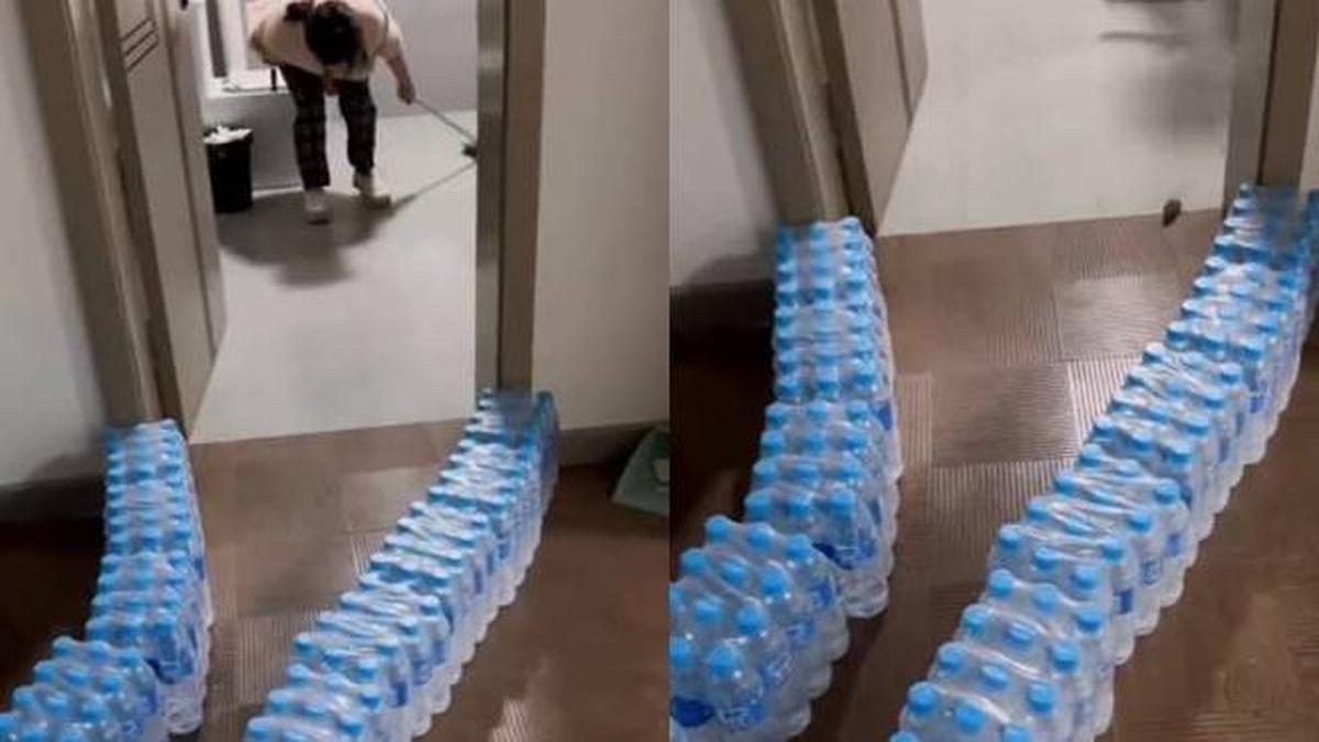 Modalnya Banyak, Cara Usir Tikus dari Kamar Mandi Ini Kocak - Hot ...