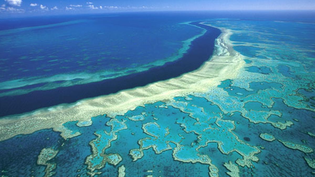 Destinasi Liburan di Benua Australia (Part 1) - Lifestyle Fimela.com