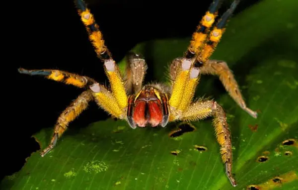 Pemandu Wisata di Labuan Bajo Dilatih soal Geowisata, Apa Itu ...