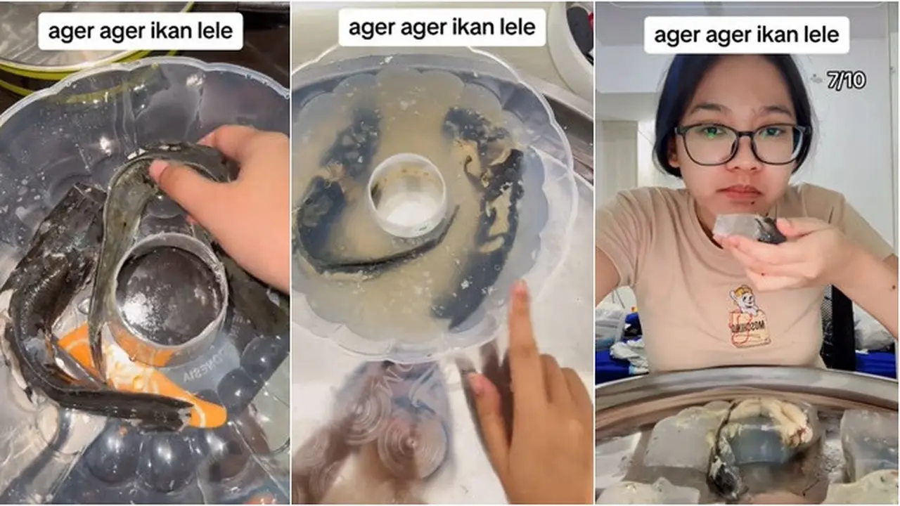 Wanita Ini Tunjukkan Cara Membuat Agar-Agar Ikan Lele, Bikin Geleng ...