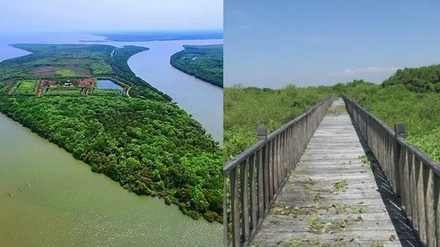 5 Pesona Wisata Alam Sidoarjo, Indah dan Eksotis - Surabaya Liputan6.com