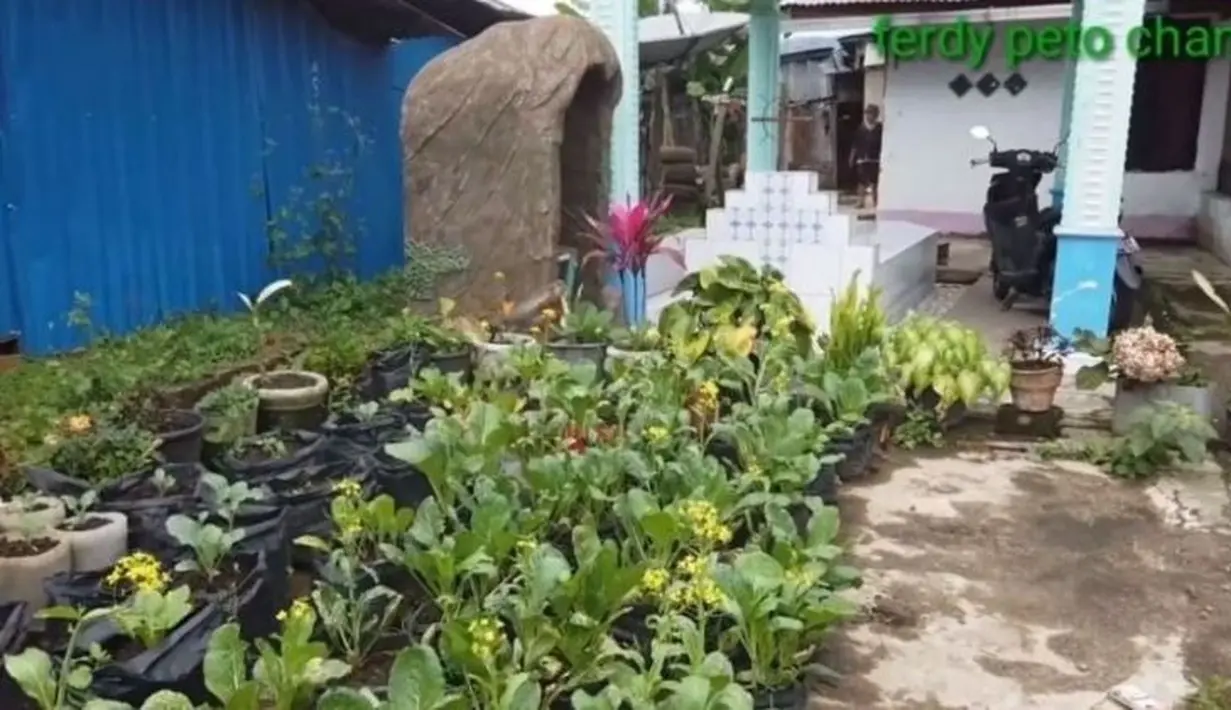 Rumah Sederhana Keluarga Betrand Peto di NTT, Masih Pakai Dapur ...